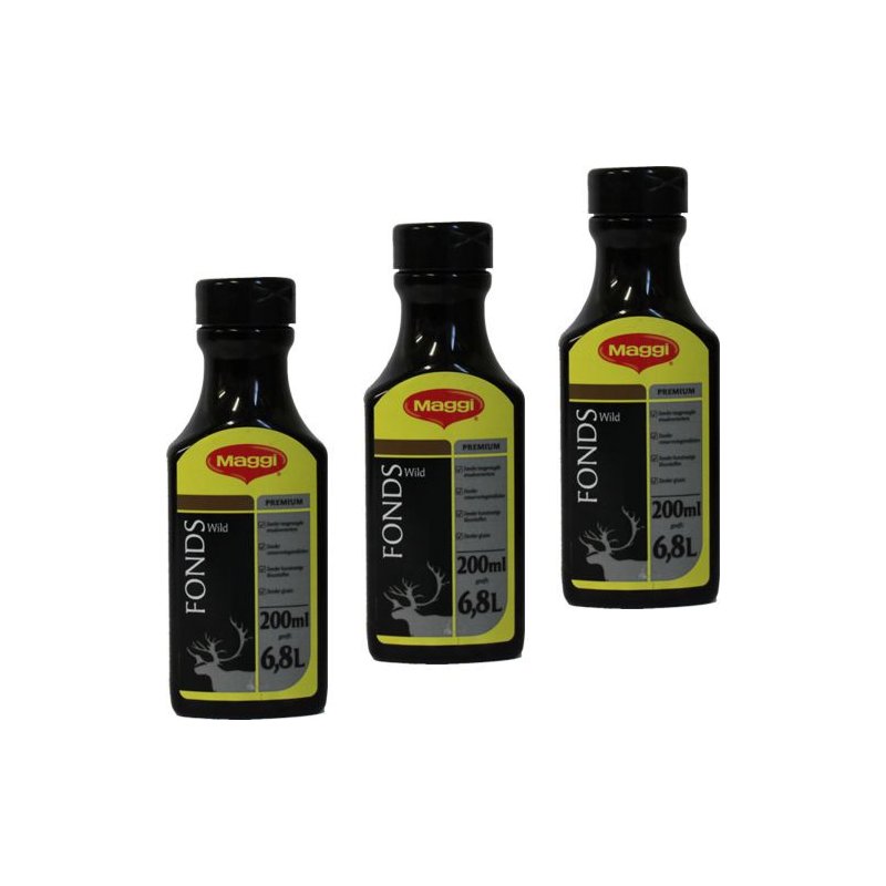 Maggi Fond Wild Konzentrat für Brühen 3 x 200ml