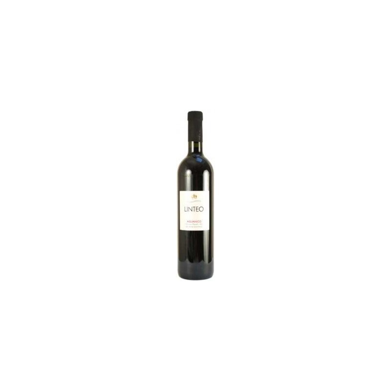 Aglianico del Beneventano italienischer Rotwein (0,75l Flasche)